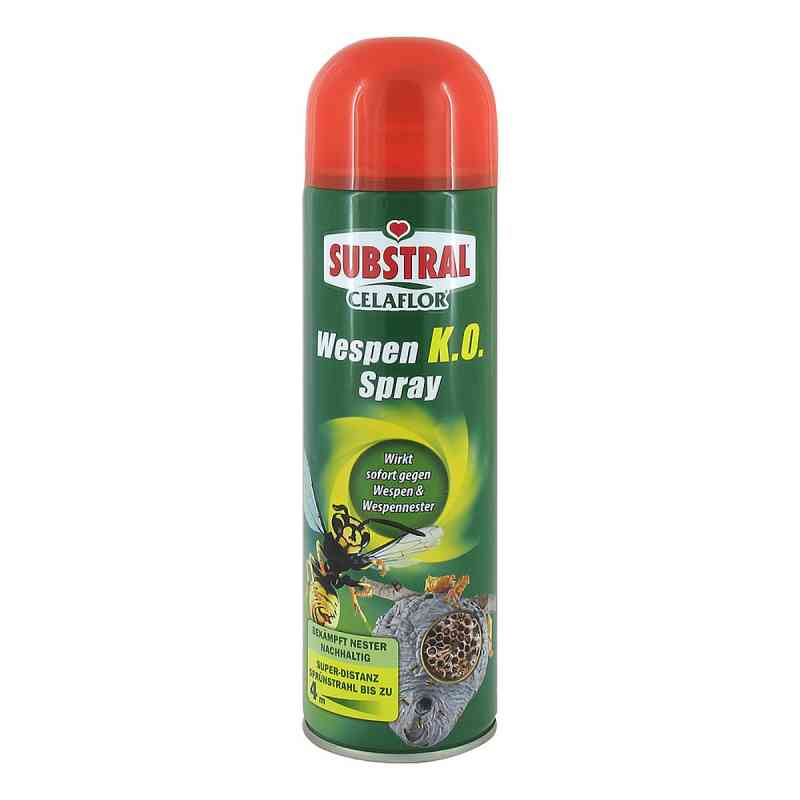 Celaflor Wespen K O Spray
